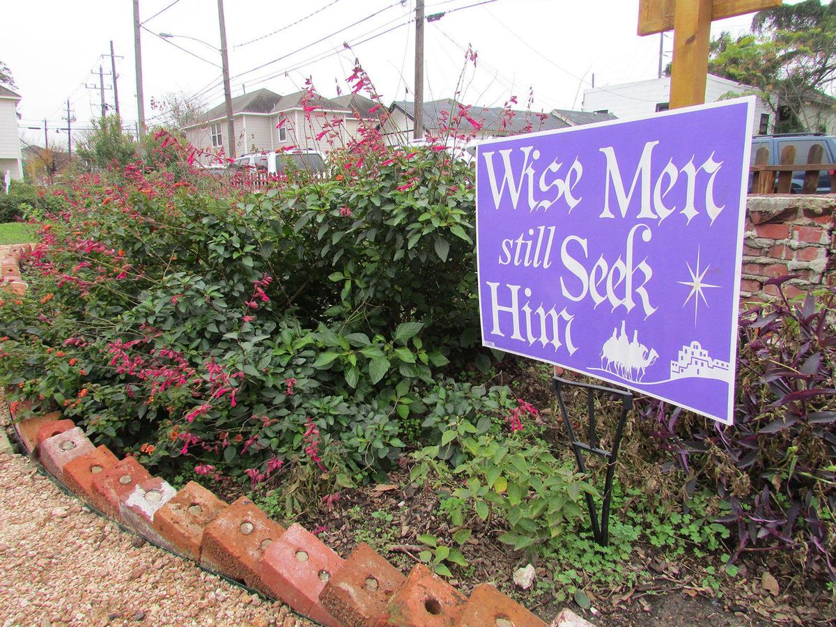 One of the many plantings at the site, with this flower bed designating ...