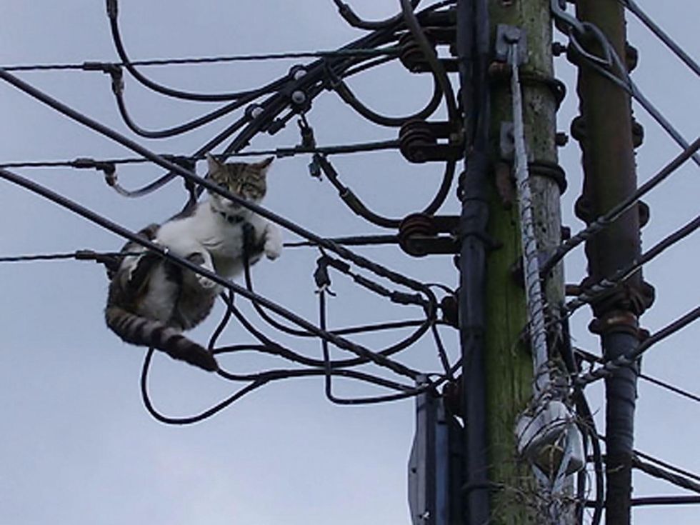 Mysterious Montrose power outage is finally explained: And you won't ...