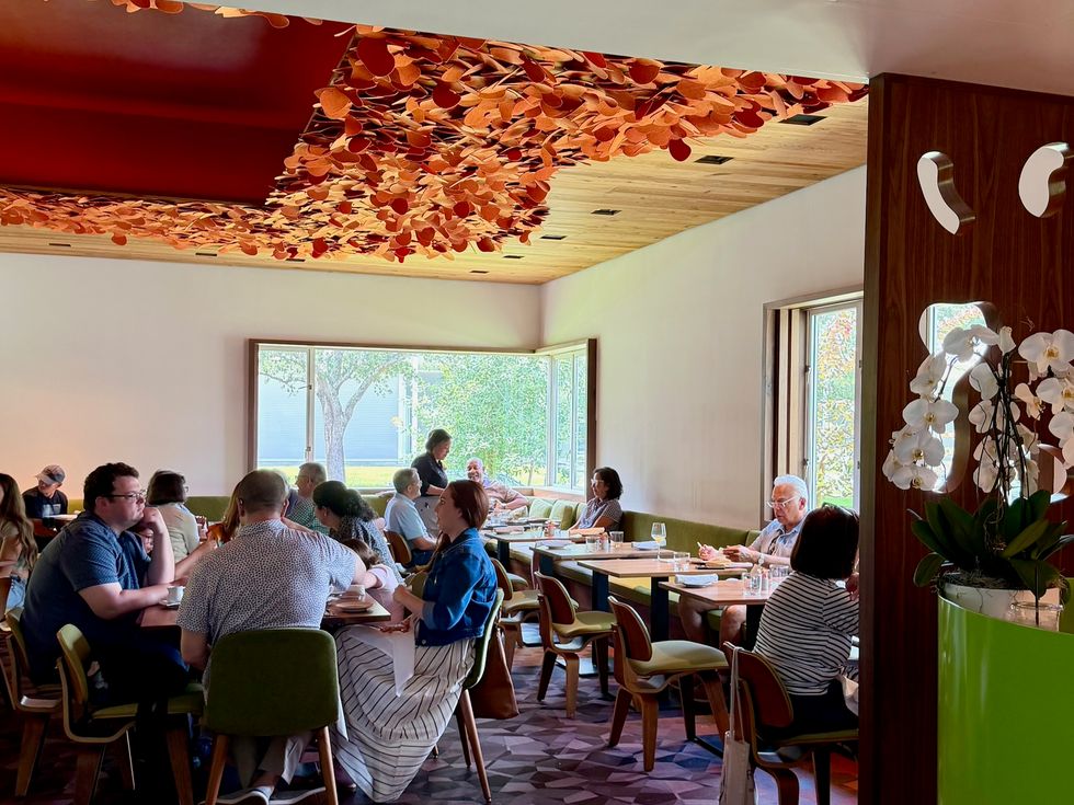 Veteran Houston chef's vibrant new cafe now open at the Menil ...
