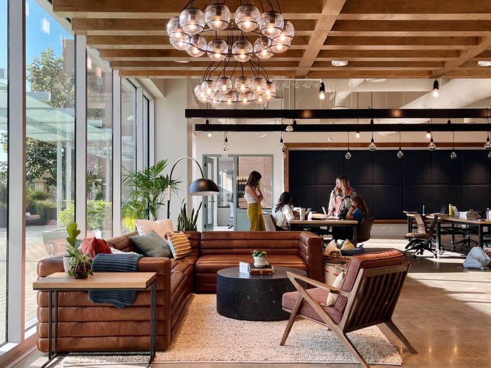 It's baby season at the Houston Zoo: Forget Black's Hollywood panda, we ...