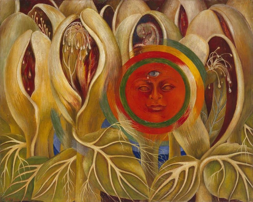 5 fascinating works by Frida Kahlo come to Texas for a limited time ...