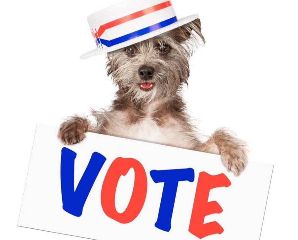 A candidate forum on Saving Houston's shelter pets, sponsored by the ...