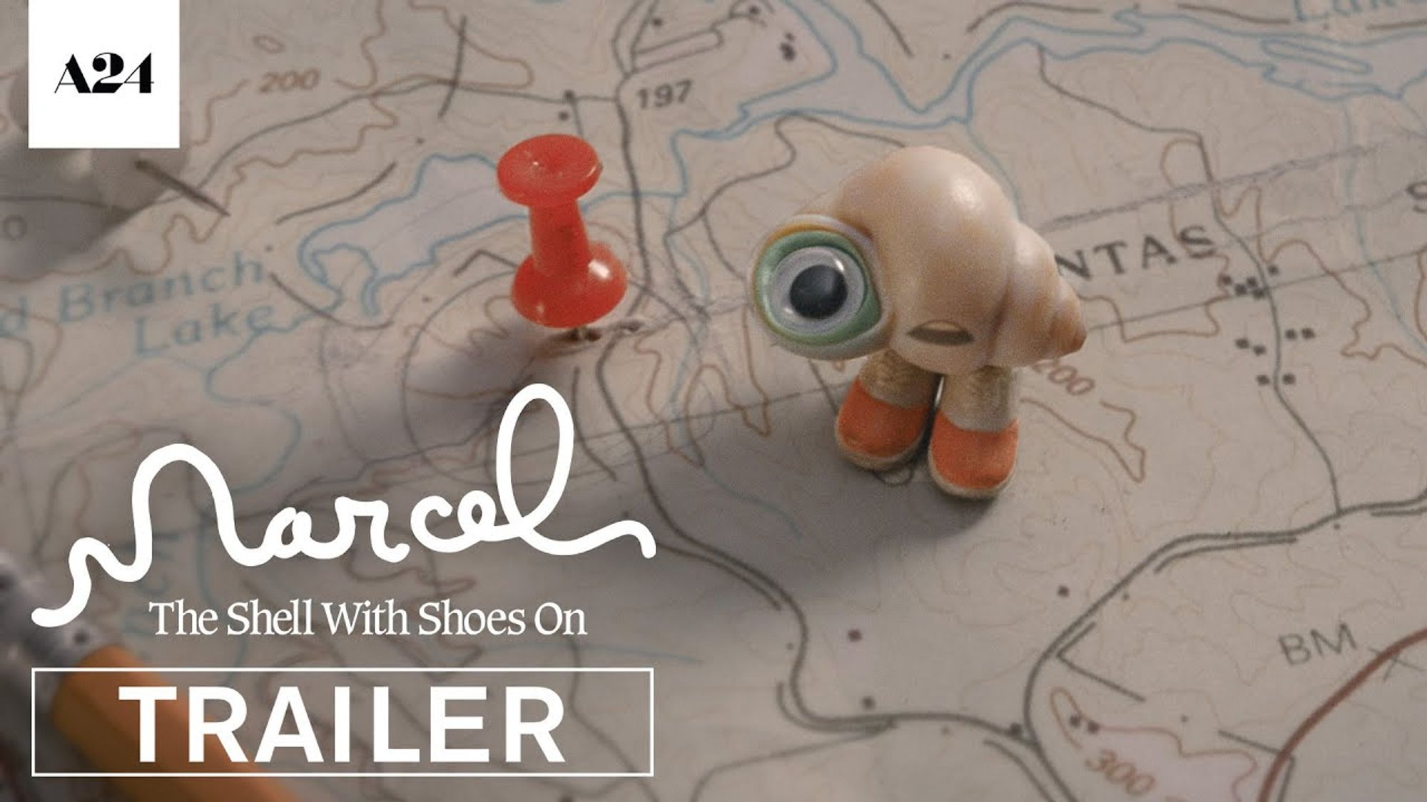 Cuteness and whimsy carry SNL alum's small Marcel the Shell with Shoes ...