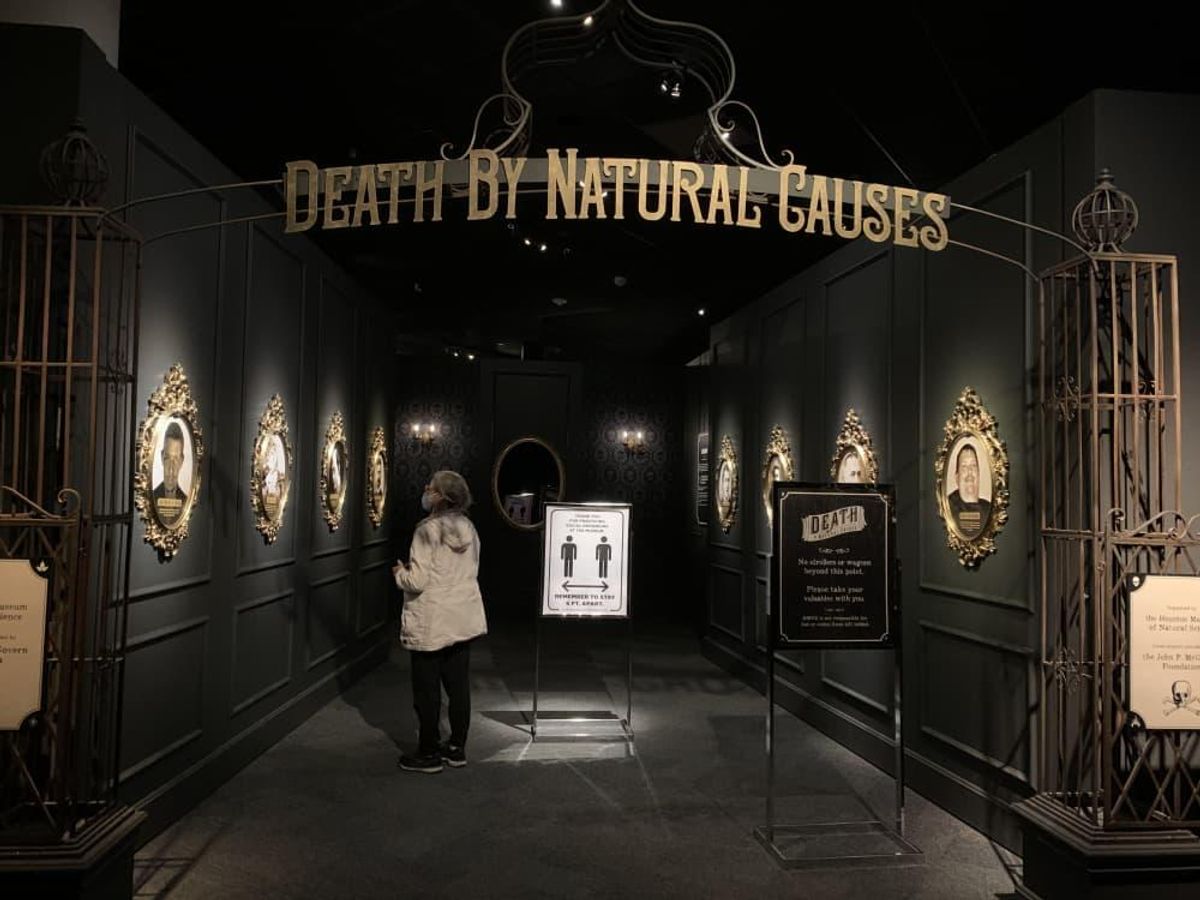 Perhaps not everyone's goto exhibition right now, but I thoroughly ...