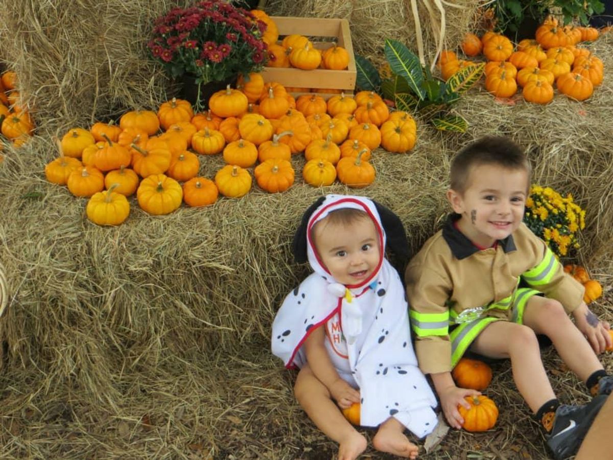 Family-friendly event, Zoo Boo, includes the Fiesta Mart Pumpkin Patch ...