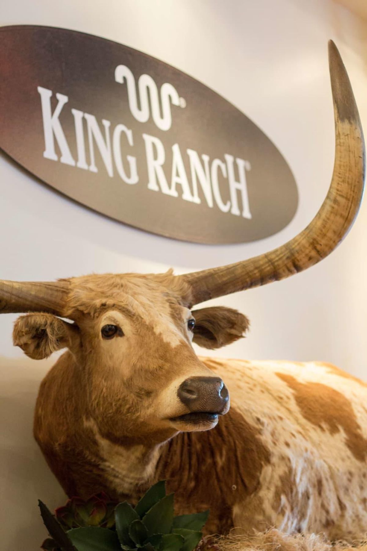 A signature welcome to visitors at the King Ranch Saddle Shop ...