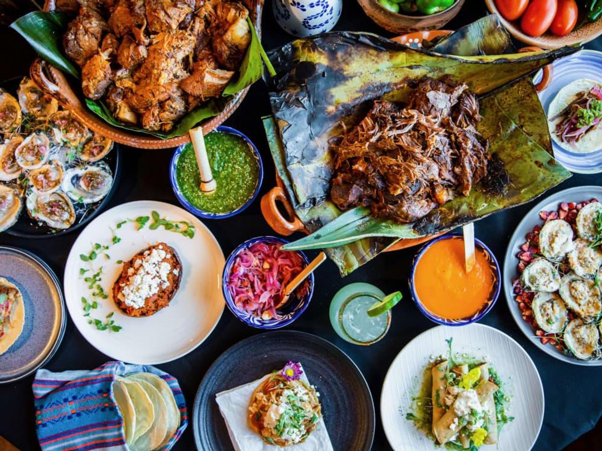 Maize is the restaurant of the week. - CultureMap Houston