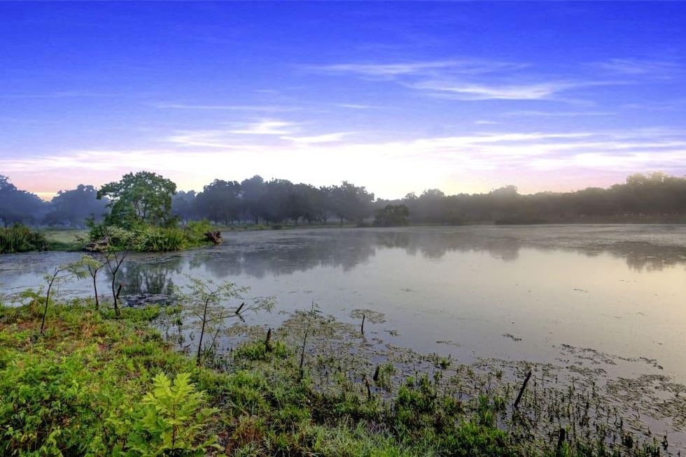$10.7 million will get you a 205-acre ranch with 1,000 pecan trees and ...