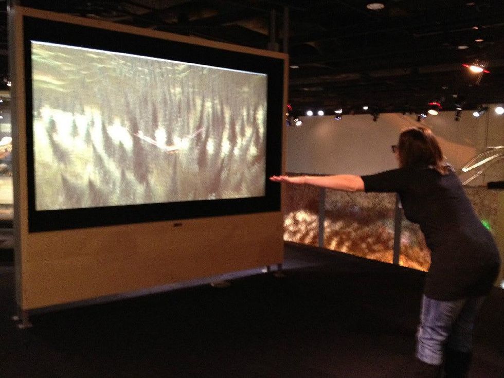 Take a tour of the new insanely interactive Perot Museum of Nature and ...