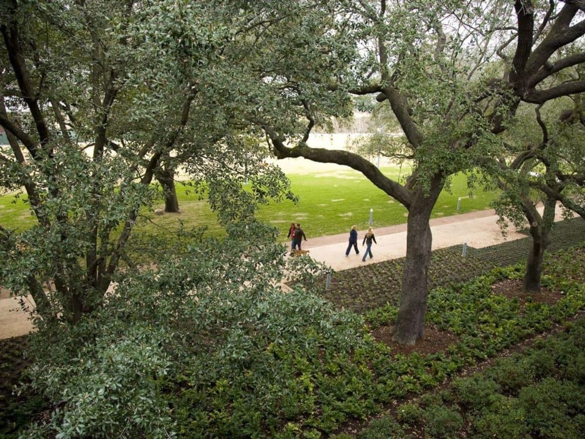 Discovery Green - CultureMap Houston