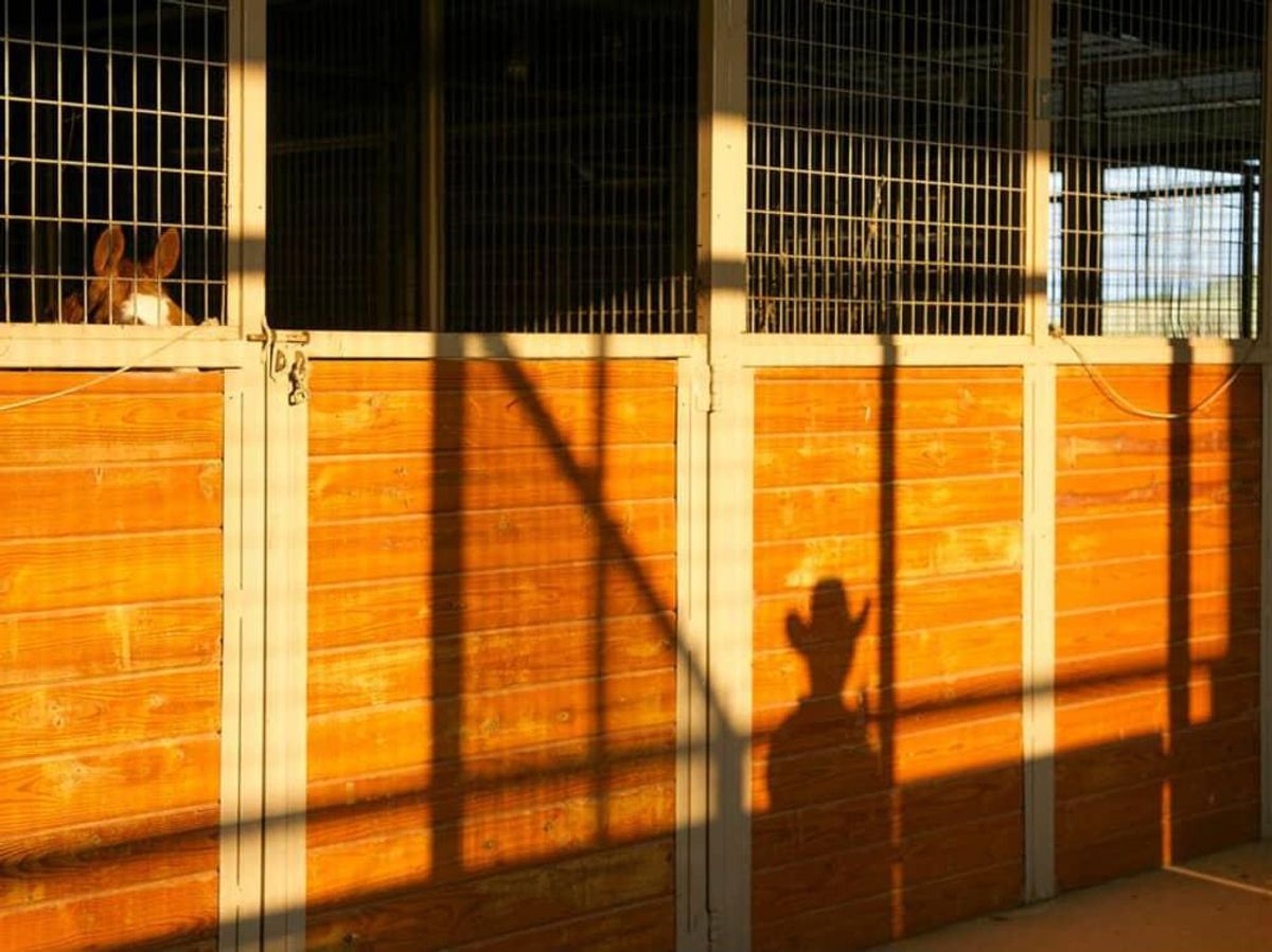 The stables at Rocking W Ranch. - CultureMap Houston