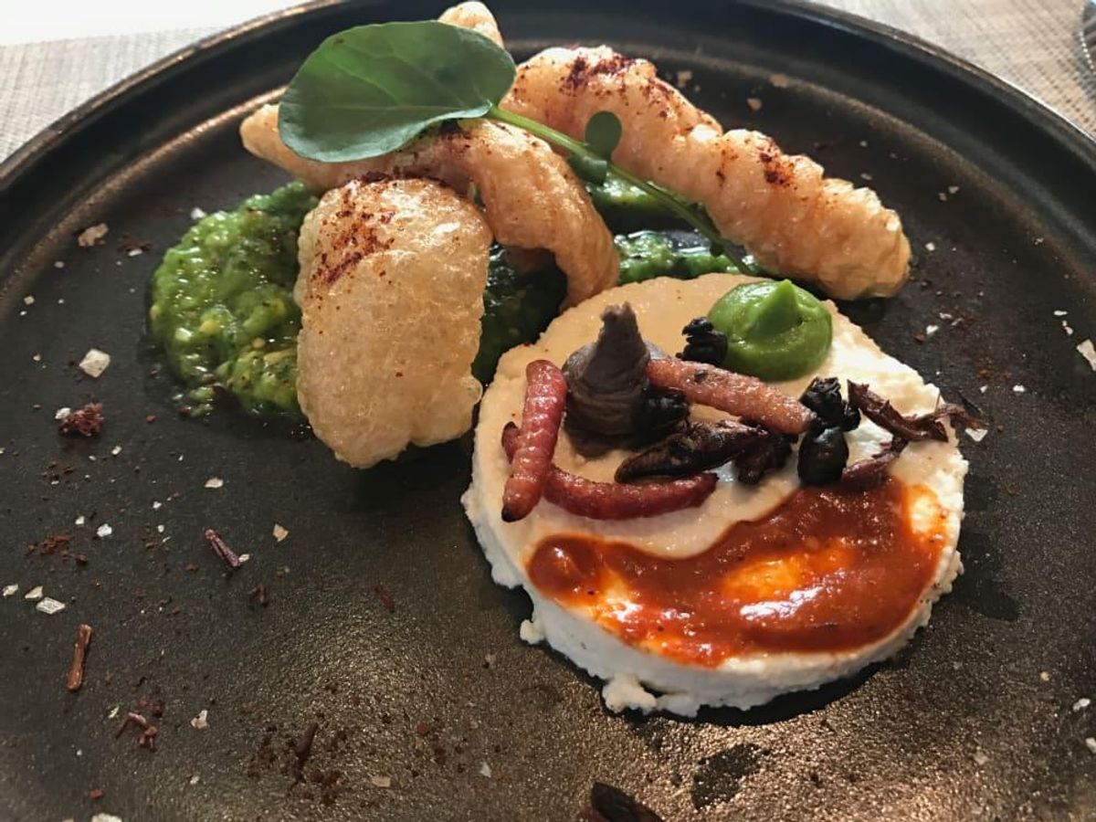 Queso del Rancho, housemade cheese with insects. - CultureMap Houston